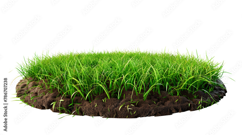 grass green circle land ground floor garden or garden earth soil land ...