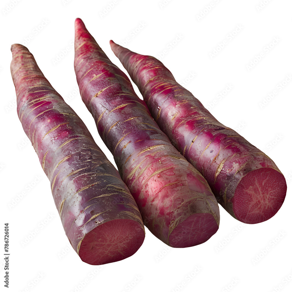 A realistic photo of fresh oca roots, their bright red, tuberous bodies ...