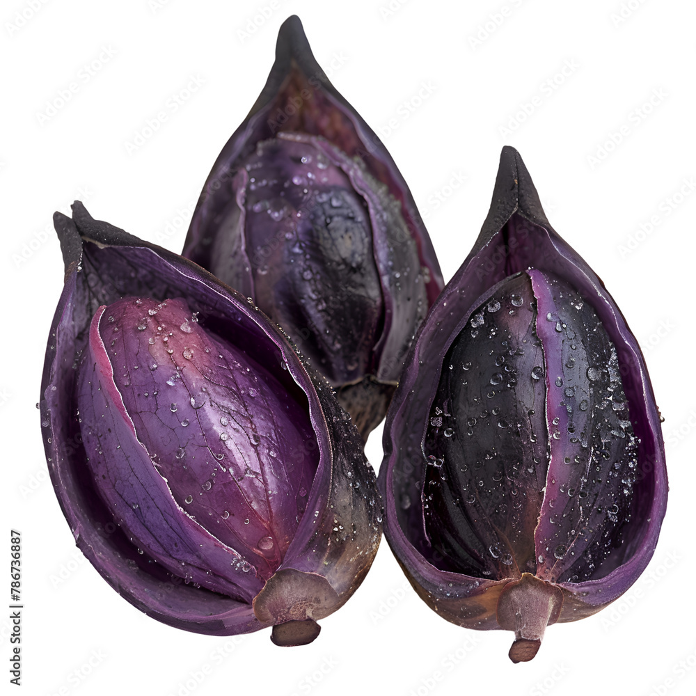 An HD image of fresh akebia, its purple pod split open to reveal the ...