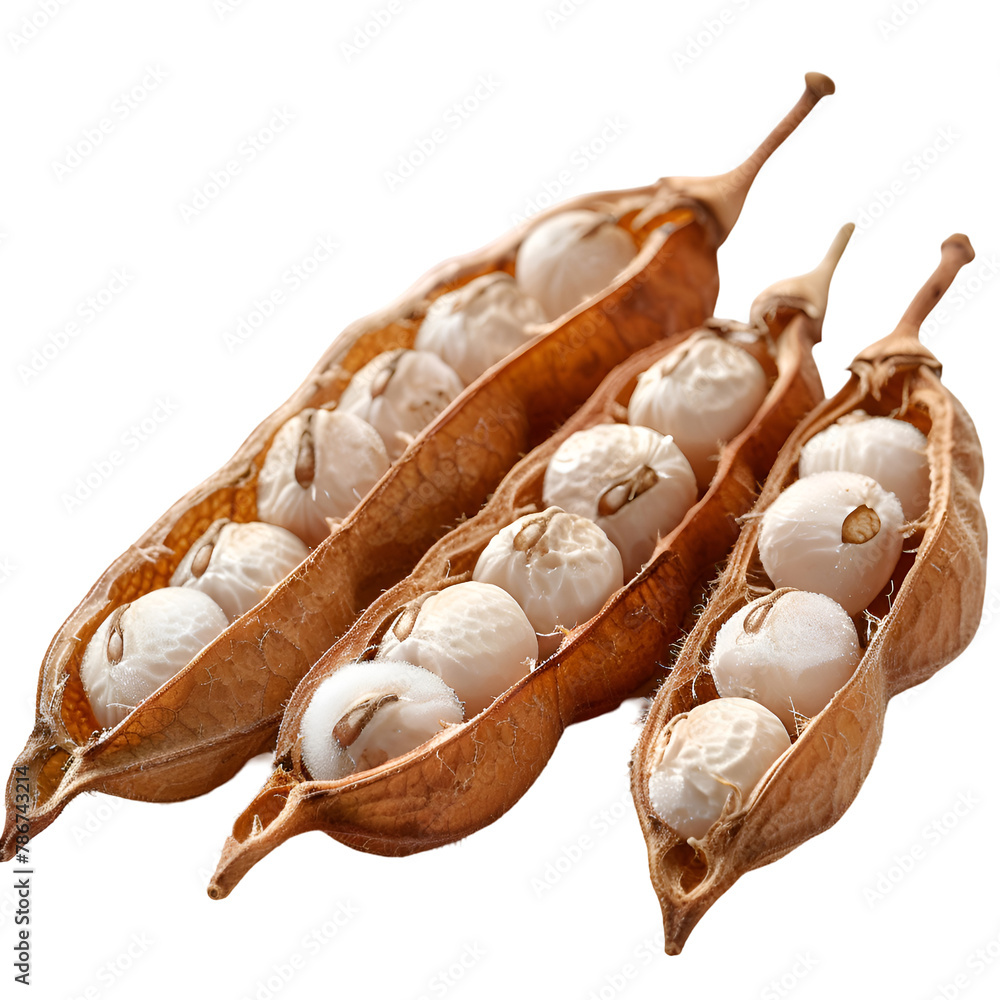 An HD image of fresh ice cream beans, their long, fluffy pods opened to ...