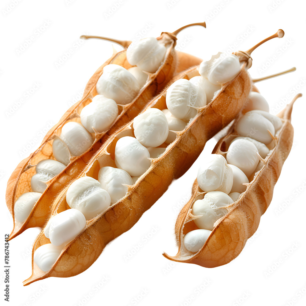 An HD image of fresh ice cream beans, their long, fluffy pods opened to ...