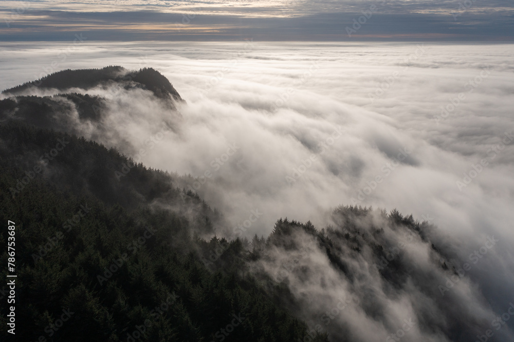 The sky is covered in a thick layer of fog, creating a moody and ...