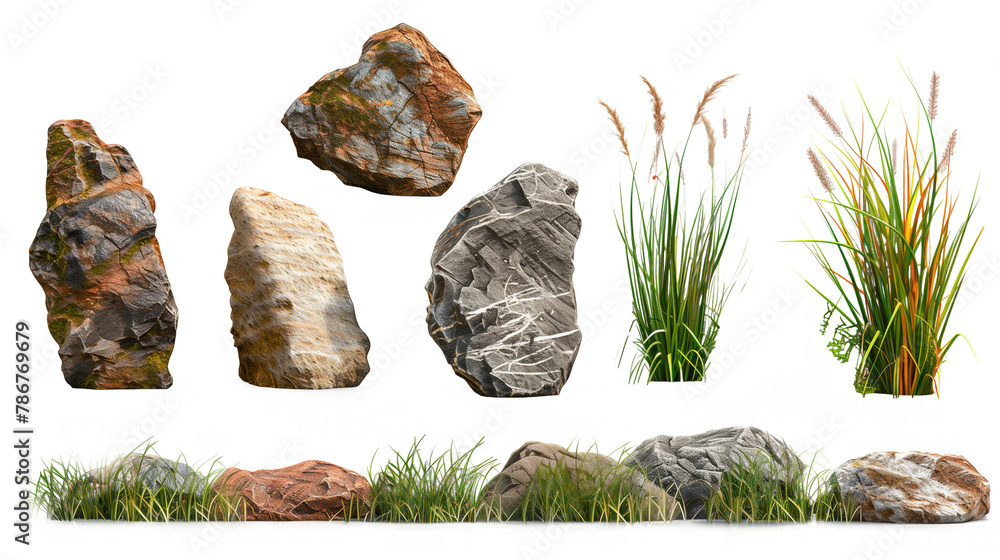 Assorted Isolated Rocks and Plants on Transparent Background - A ...