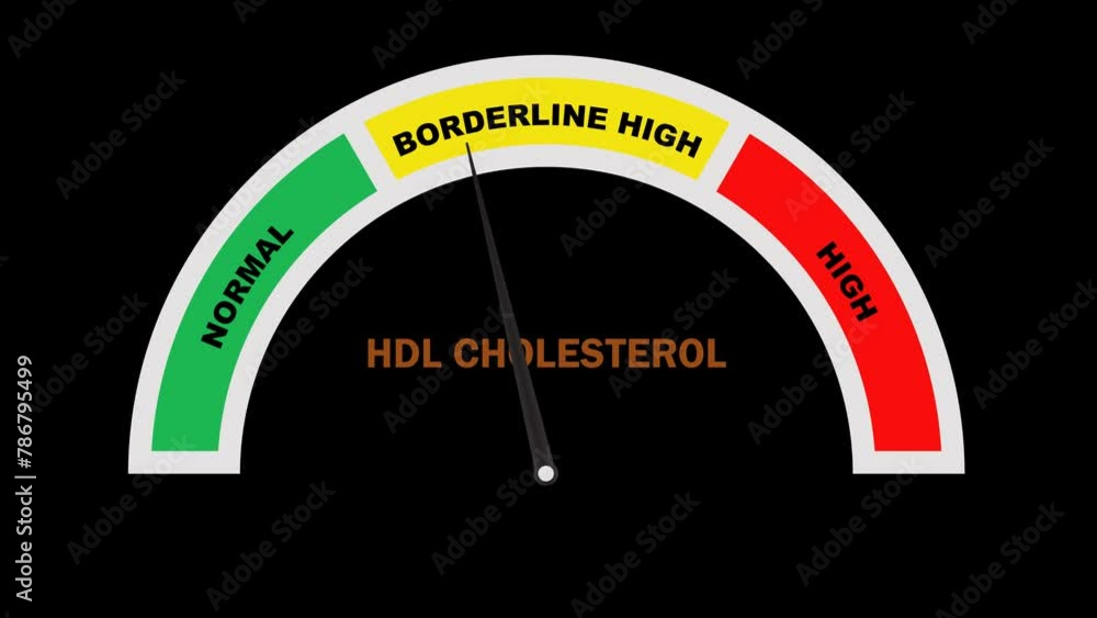 Transparent Cholesterol Index, HDL measurement QuickTime Animation , HDL Cholesterol index scale ...
