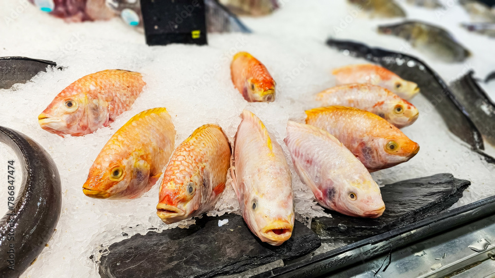 ruby fish, red tilapia, fish, seafood restaurant, fish in tank, fish ...