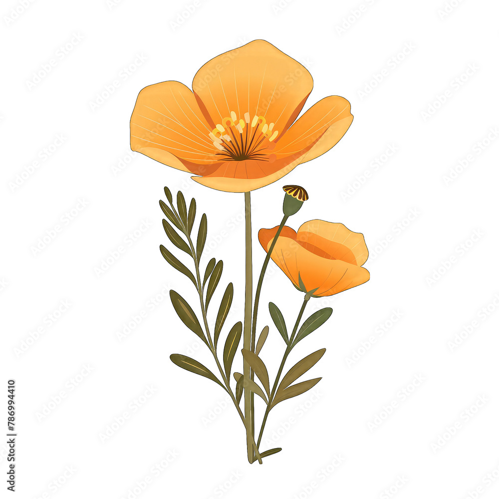 California Poppy: Minimalistic Flat Vector Illustration with ...