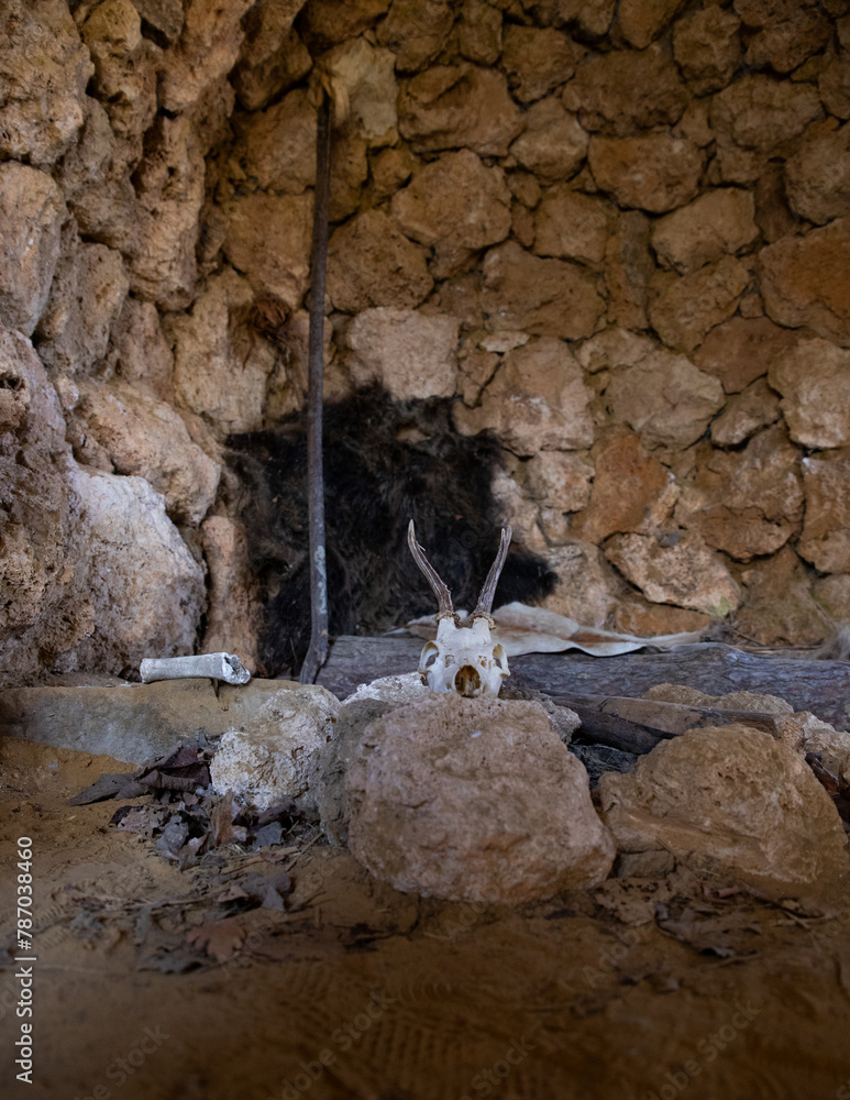 Goat skull inside a caveman's cave from prehistoric ages Stock Photo ...