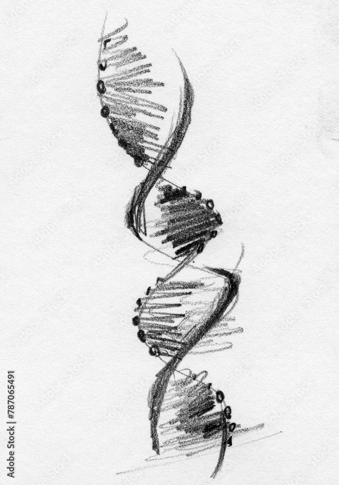DNA ART. Artistic pencil (charcoal) drawing art of DNA chain. DNA ...