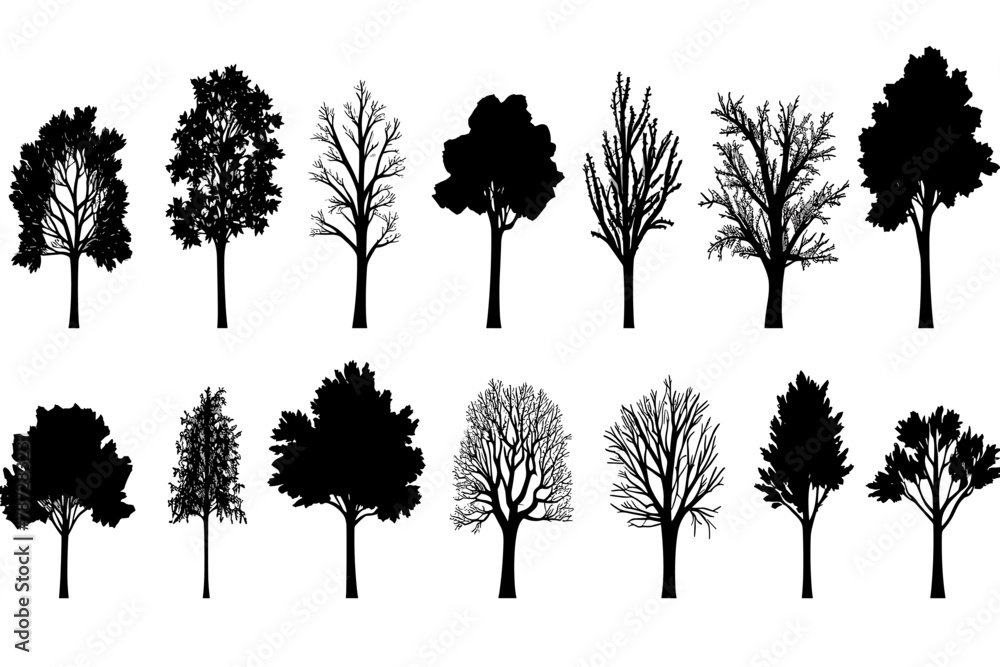 Silhouette tree set. Side view, set of graphic trees elements outline ...