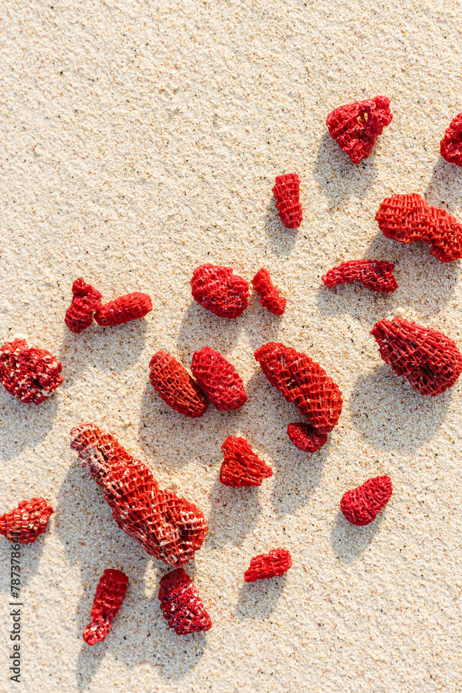 Red Coral Pieces on Sandy Beach. Top view Vivid corals with sun shadows ...