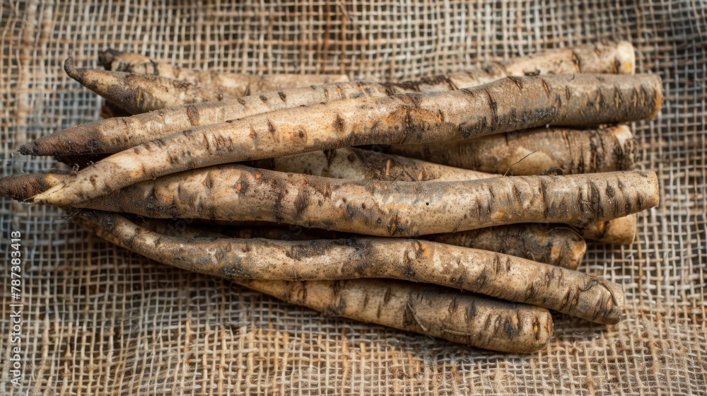 Gobo (burdock root), long and earthy, arranged on a rough hessian ...