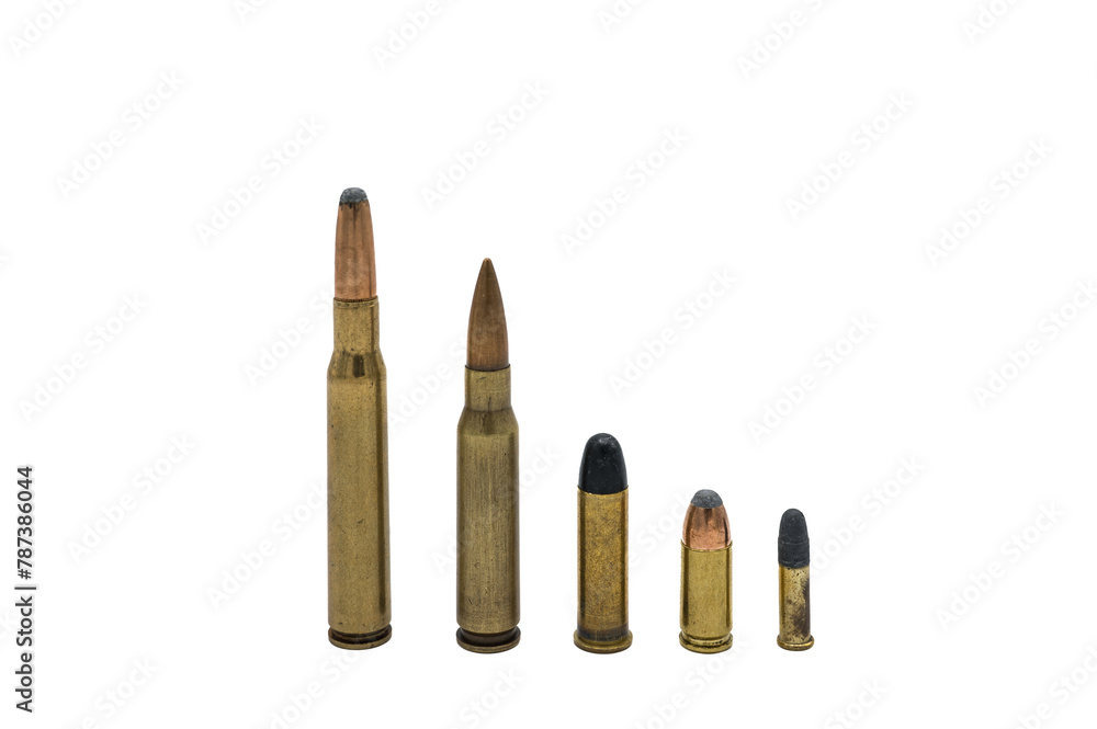 Detail of a collection of bullets of different sizes on a white ...