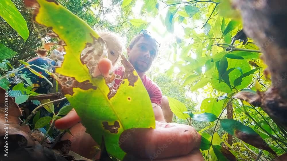 Family science. Adult man with kid sit in the tropical forest and watch ...