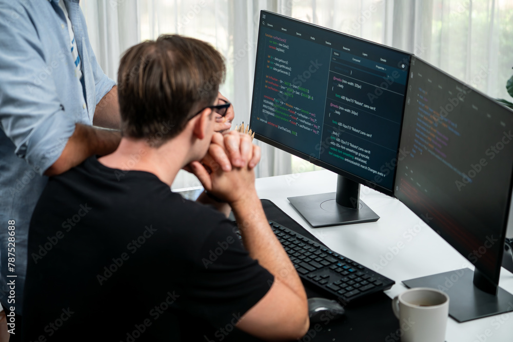 IT developers discussing online software development information on pc ...