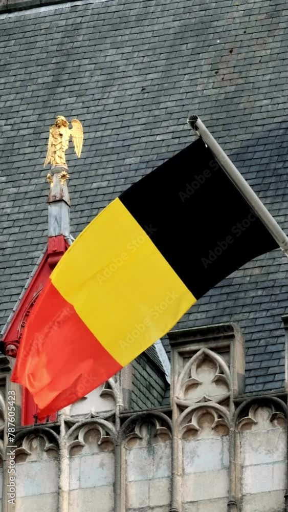 Flag of Flanders, called the Vlaamse Leeuw (Flemish Lion), is the flag ...
