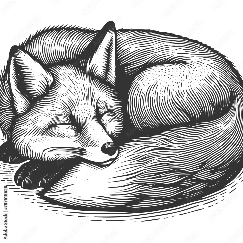 peaceful sleeping fox curled up in a lush forest setting with intricate ...