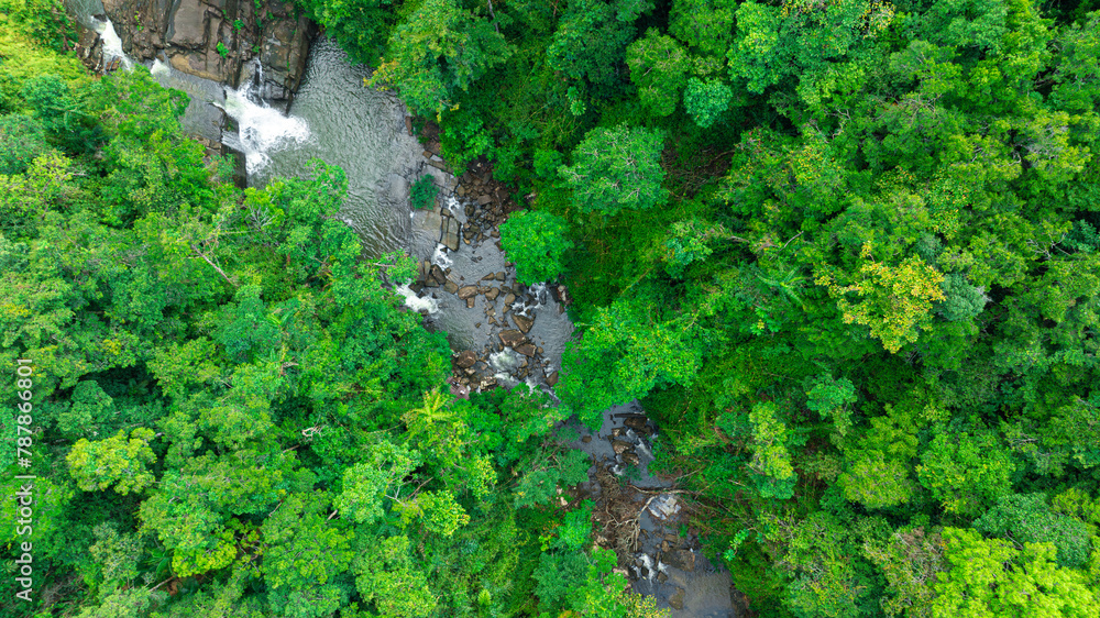 Aerial view of mixed forest, deciduous trees, greenery and waterfalls ...
