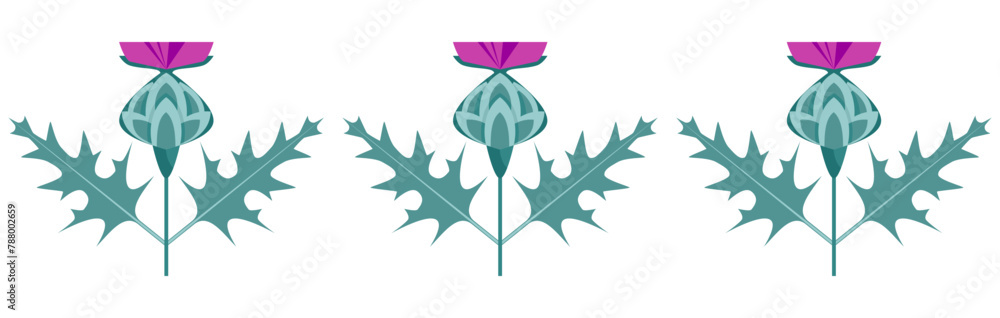 Thistle flowers. Stylized spiny herbaceous plant, seamless horizontal ...
