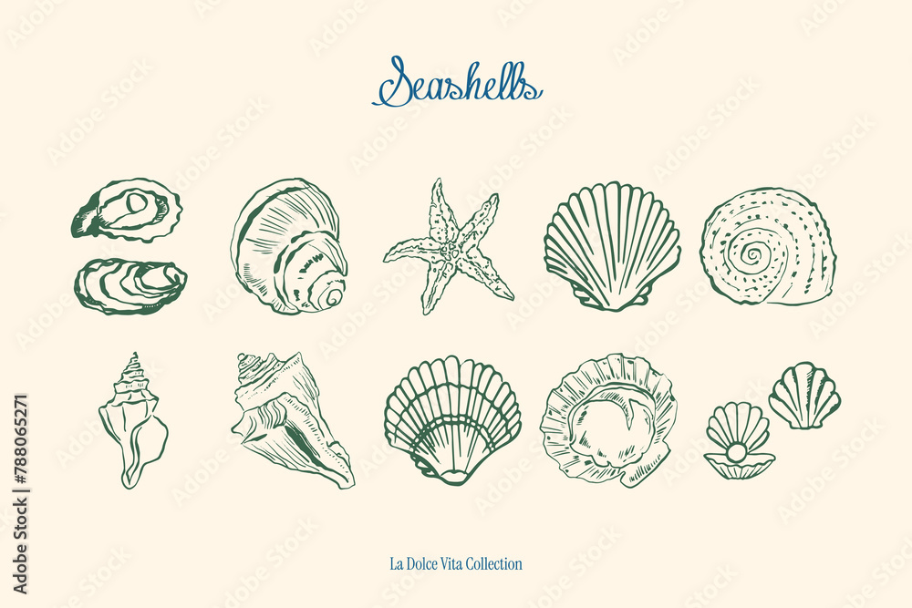 Minimalist hand drawn seashells vector illustration collection. Art for ...
