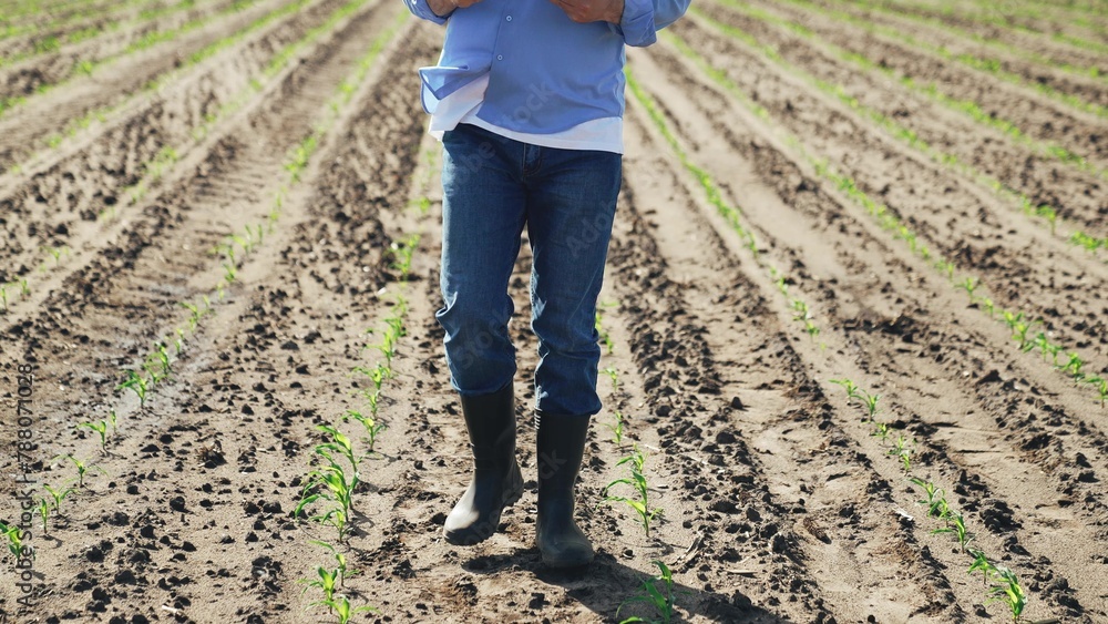 Farmer walks through agricultural field. Male guy entrepreneur walks ...