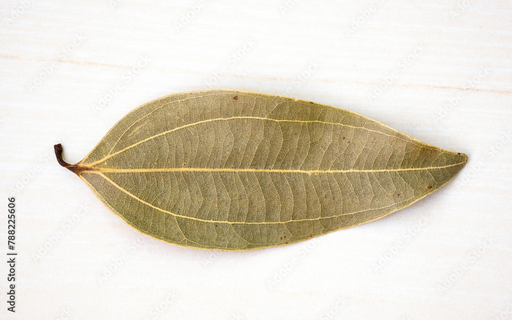 Dried bay leaf on a white wooden textured background. It is also known ...