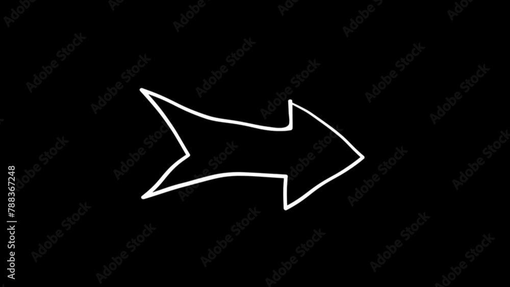 Animated Hand Drawn Arrows isolated on transparent background. Motion ...