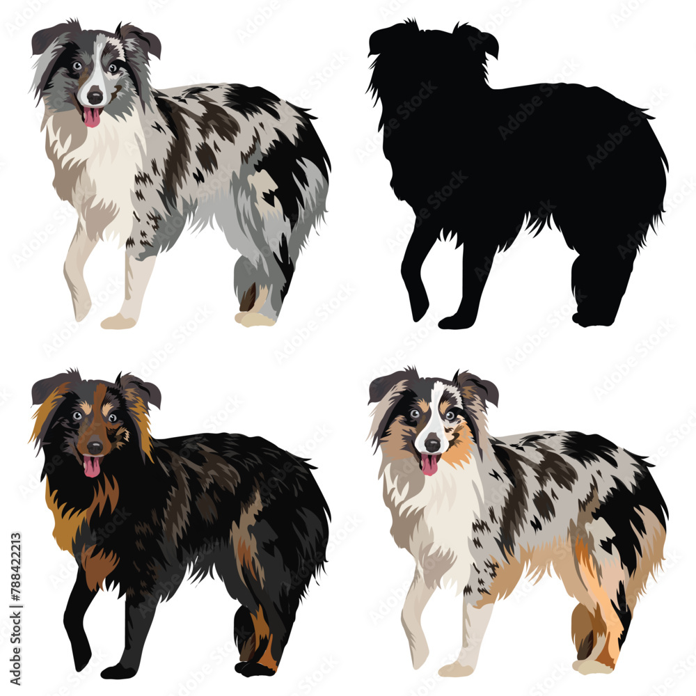 Australian Shepherd dog, side view. Cute profile logo design, popular ...