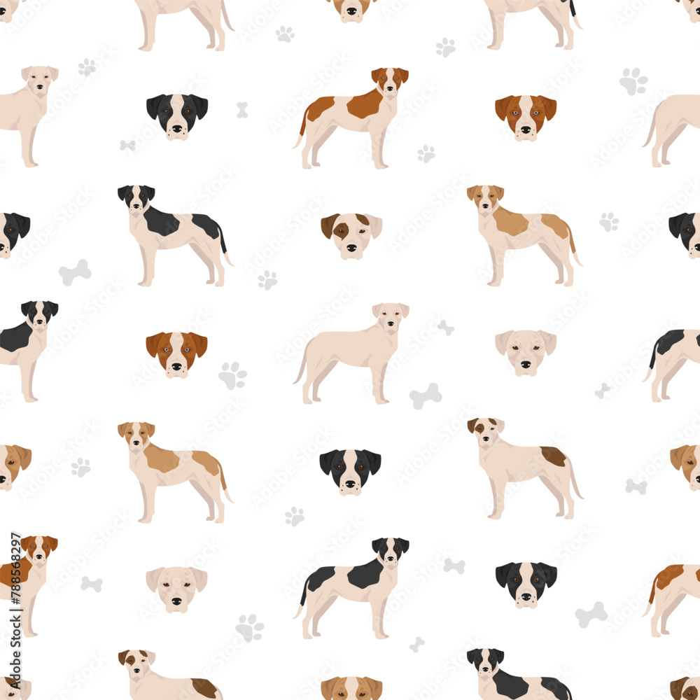 Bull Arab seamless pattern. Different coat colors and poses set Stock ...