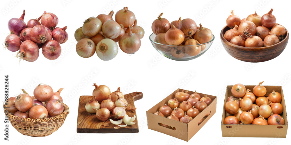 Onion transparent sample mockup isolated png with no background. Stock ...
