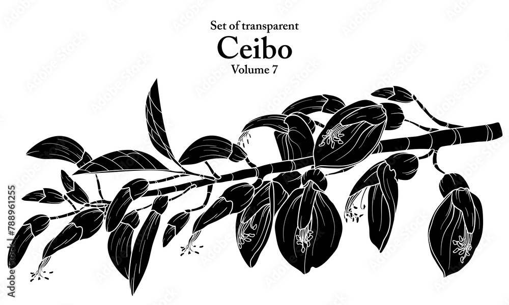 A series of isolated flower in cute hand drawn style. Silhouette Ceibo ...