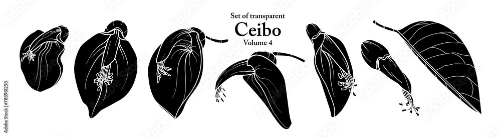 A series of isolated flower in cute hand drawn style. Silhouette Ceibo ...