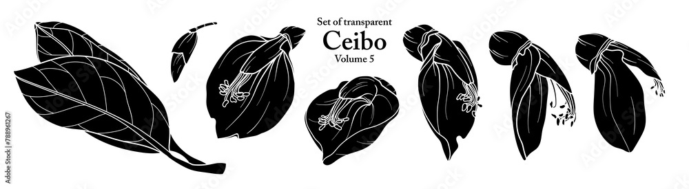 A series of isolated flower in cute hand drawn style. Silhouette Ceibo ...