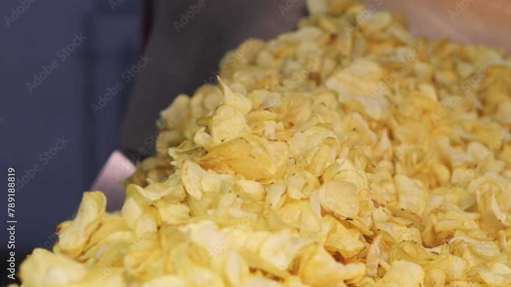 Fried potato chips end up on an industrial conveyor belt in a factory ...