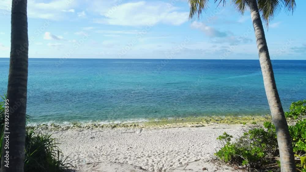 Coconut palm trees on Maldive island with tropical beach and blue ocean ...