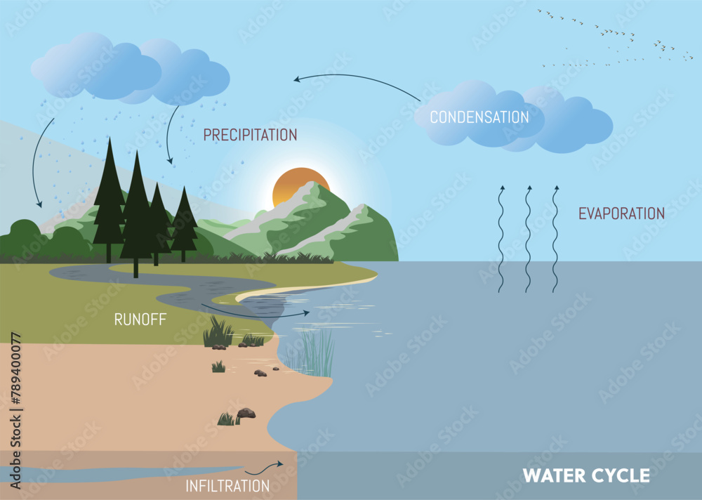 A water cycle diagram shows the process by which water evaporates from ...