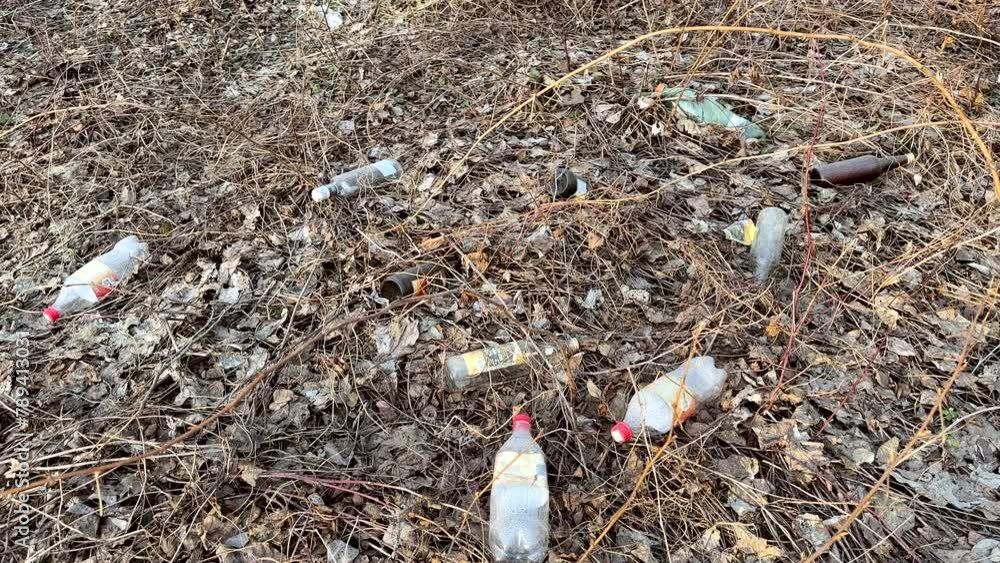 Garbage dump on ground in park. People throw garbage in forest. Plastic ...