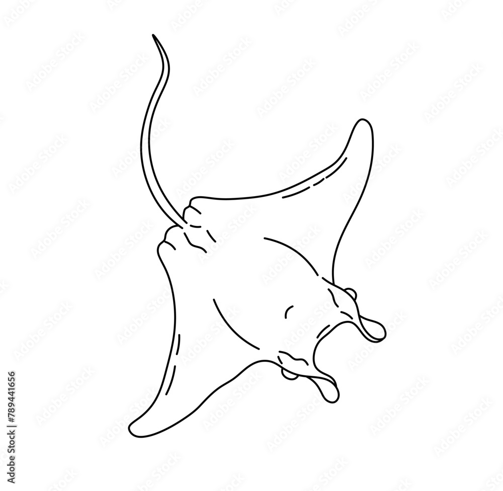 Vector isolated one single manta ray sea devil top view colorless black ...