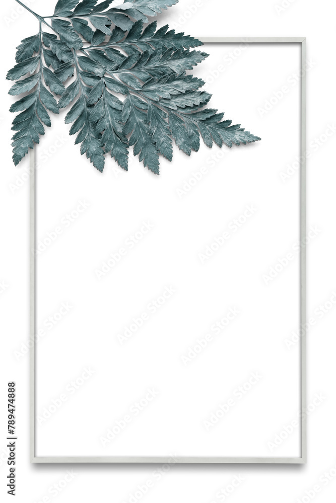 Leatherleaf fern silver frame png transparent background Stock Photo ...