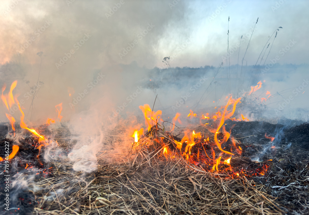 Fire grass in farm field. Dry Grass Fires due to drought. Hot weather ...