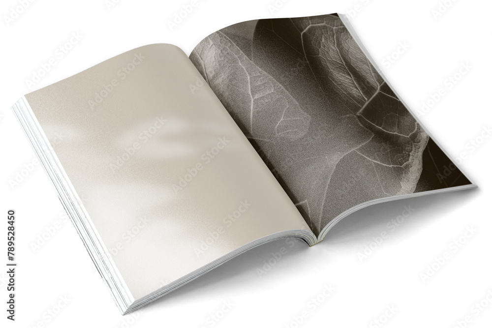 Png magazine mockup on transparent background Stock Illustration ...