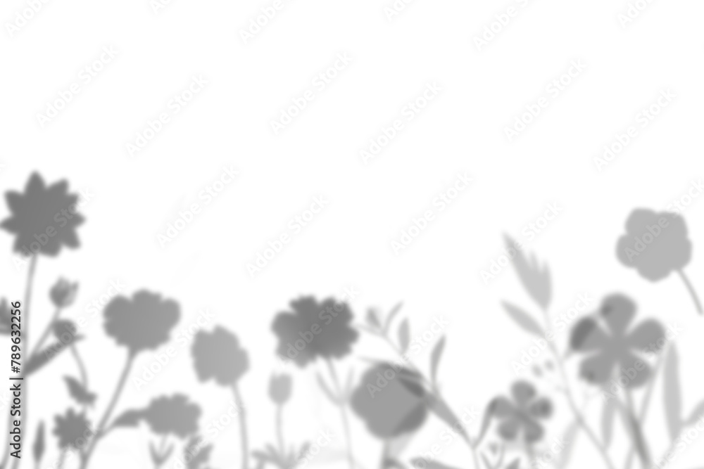 Png flower shadow background, botanical shadow in transparent design ...