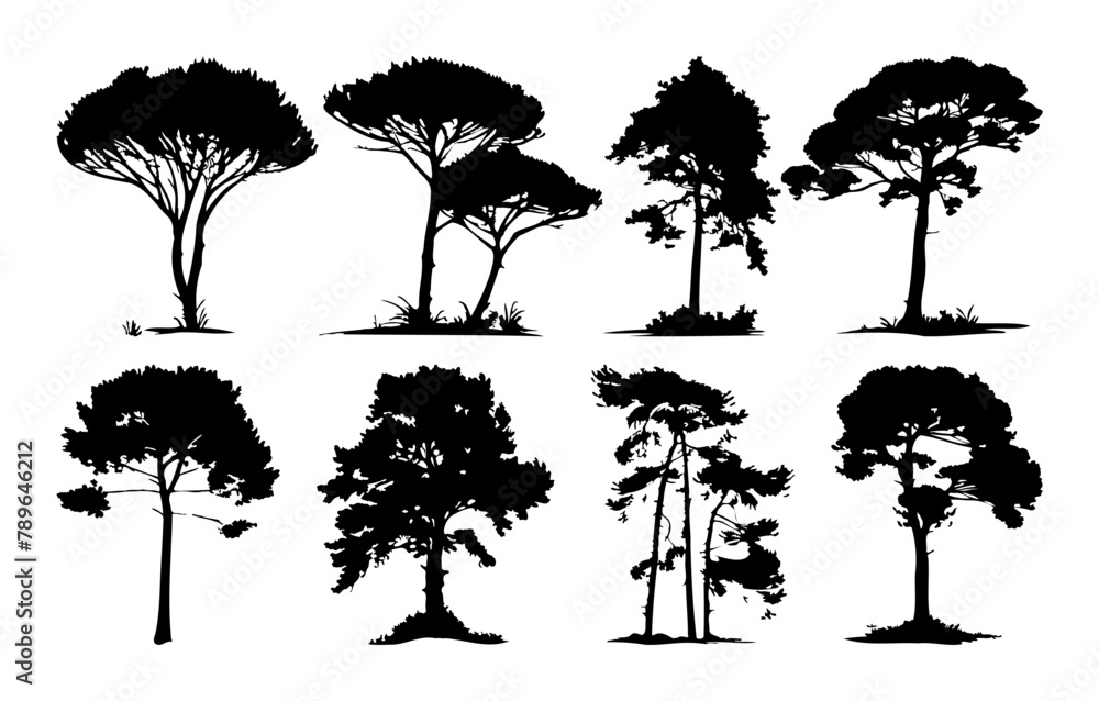 Trees set silhouette. Coniferous forest. Isolated tree on white ...