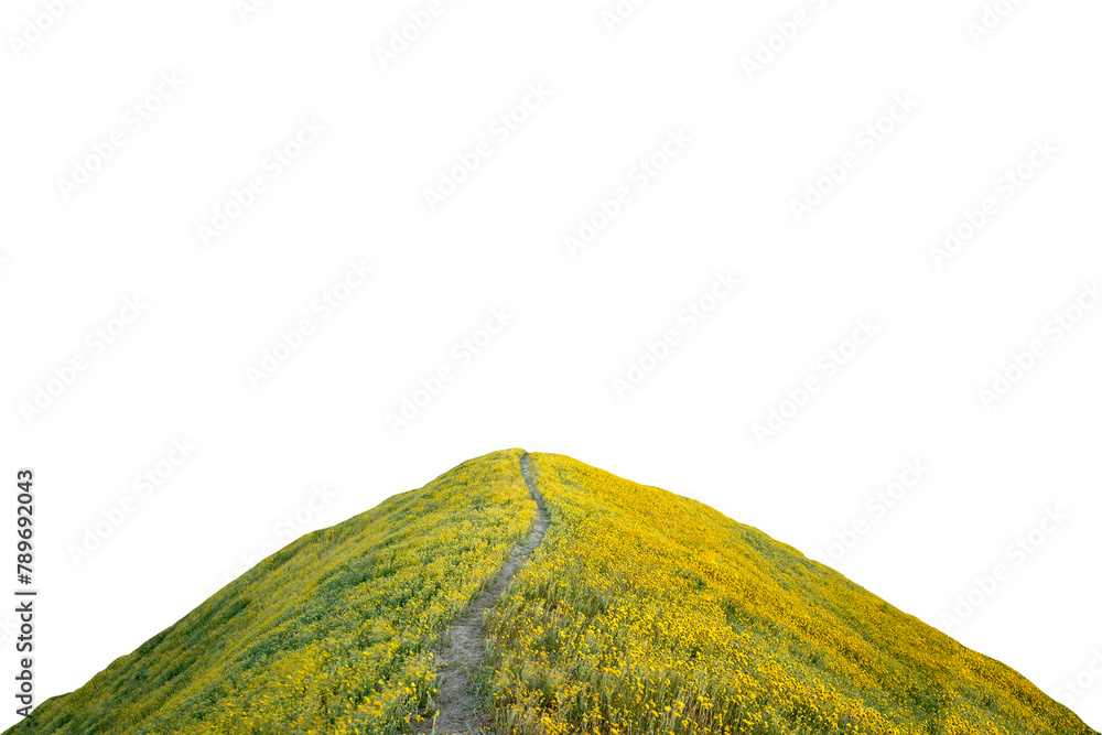 Uphill path png sticker, nature design, transparent background Stock ...
