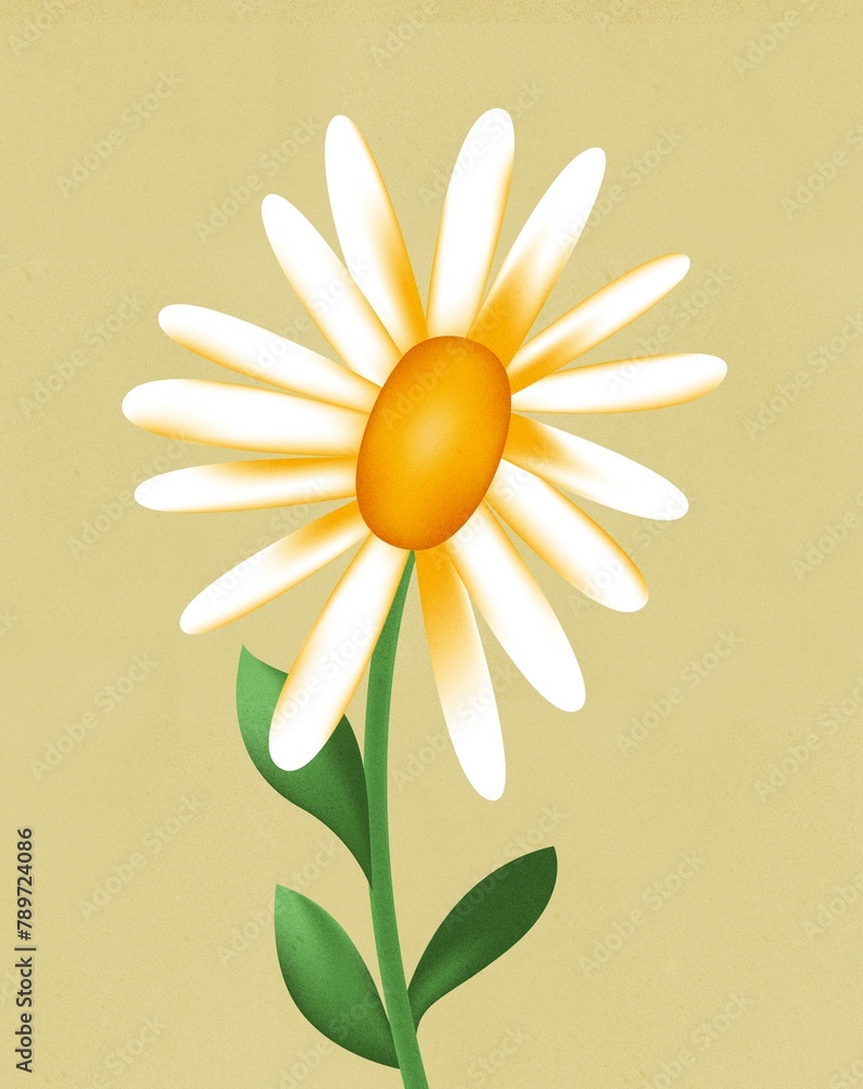 Daisy Flowers on colorful empty background. Natural Floral backdrop ...