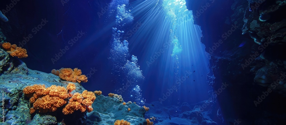 Exploring the Wonders of Deep Sea Hydrothermal Vents A Simulation of ...