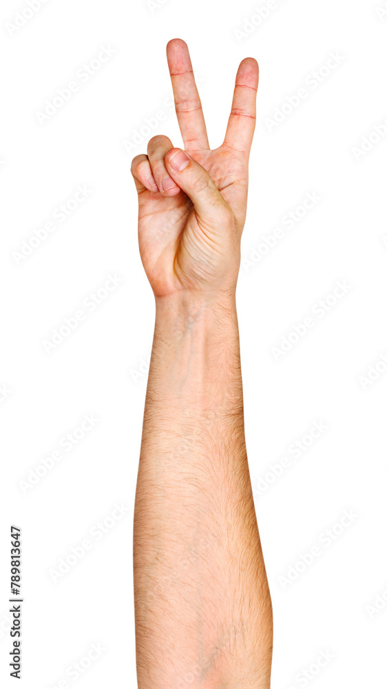 V sign png hand gesture sticker, victory peace sign language on ...