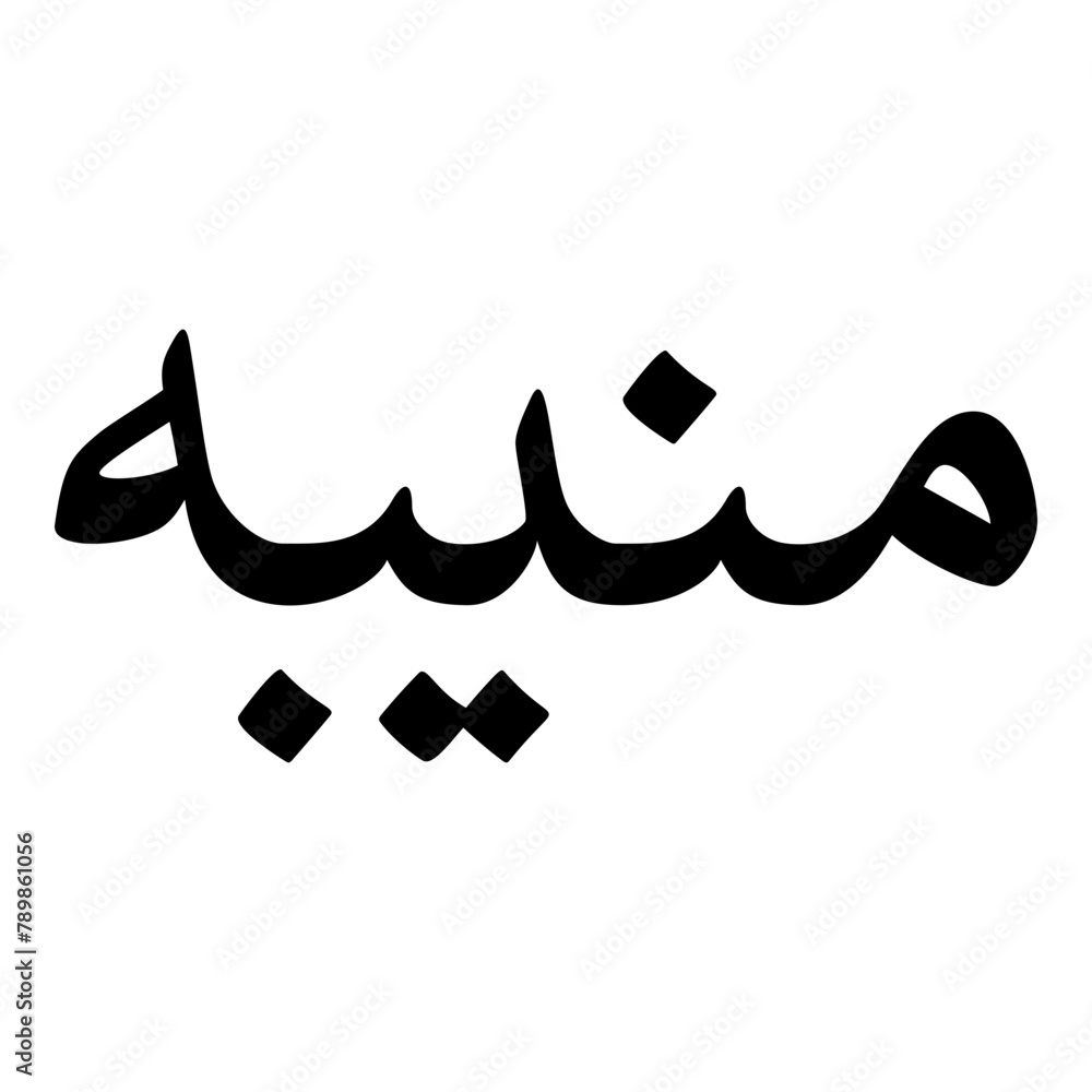Muneebah Muslim Girls Name Naskh Font Arabic Calligraphy Stock Vector ...