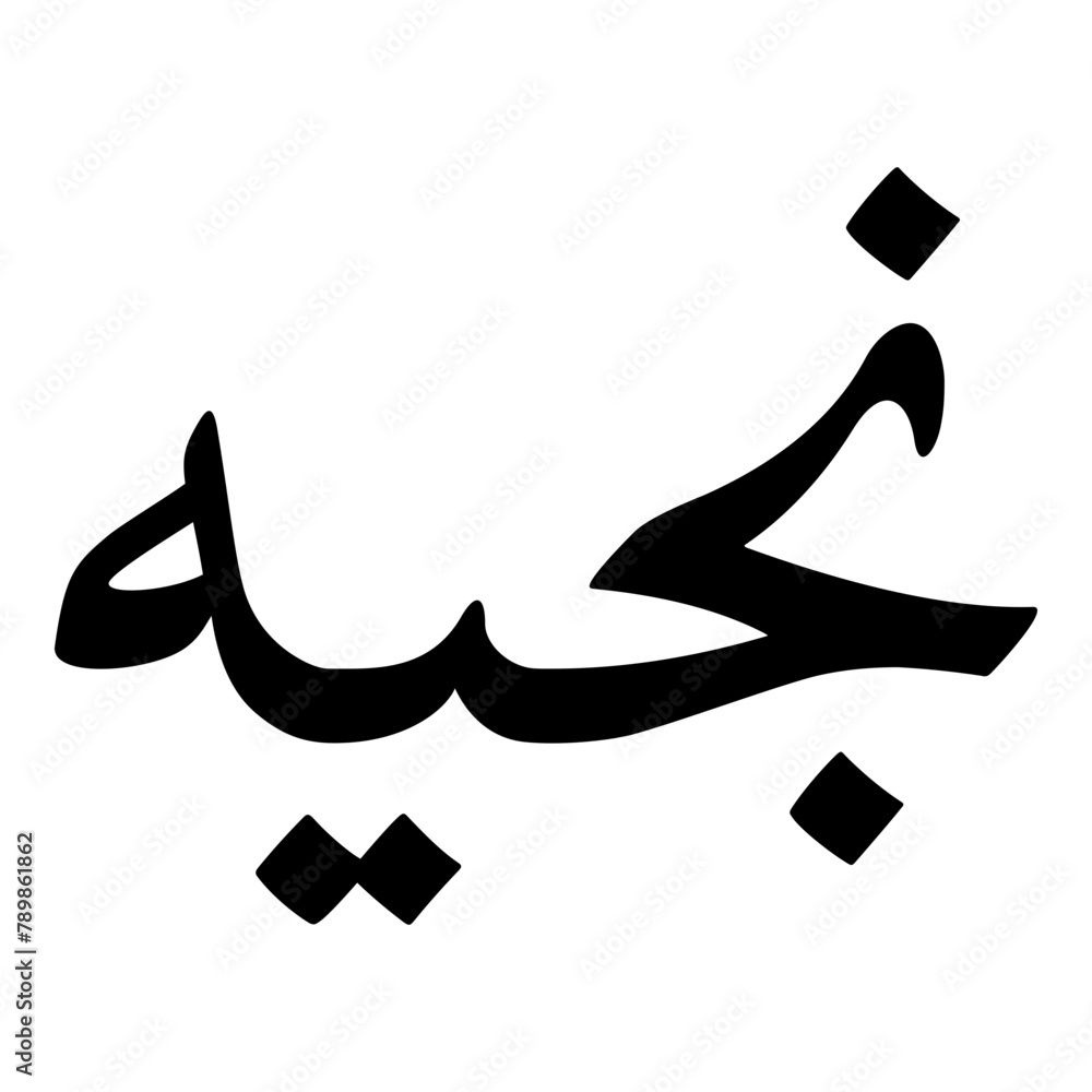 Najiya Muslim Girls Name Naskh Font Arabic Calligraphy Stock Vector ...