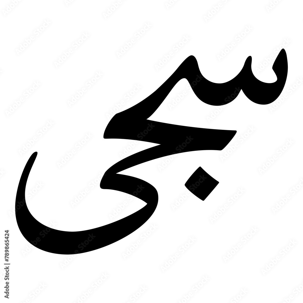 Saja Muslim Girls Name Naskh Font Arabic Calligraphy Stock Vector ...