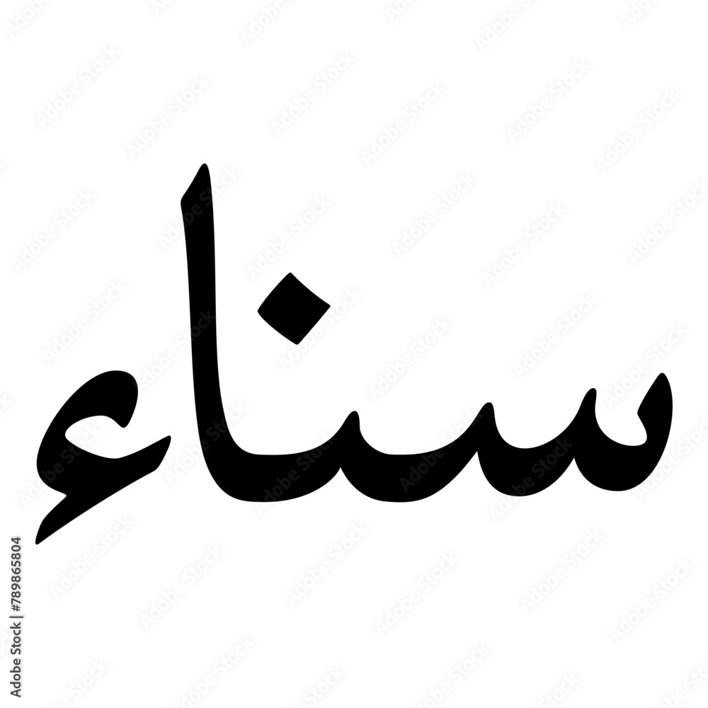 Sanaa Muslim Girls Name Naskh Font Arabic Calligraphy Stock Vector ...